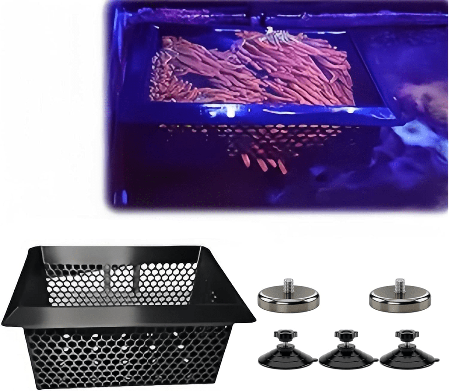 Floating Coral Basket for Reef Tanks (4x6 inch), Anemone Frag Isolator ...