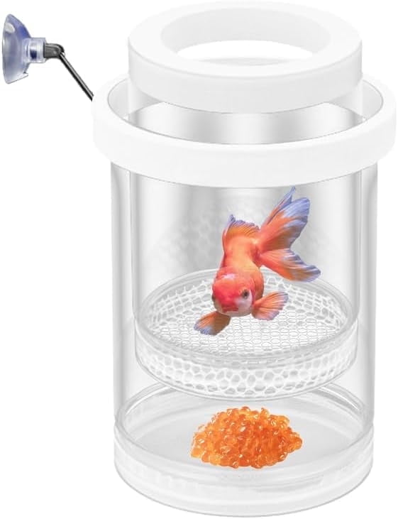 Floating Fish Breeder Box – Aquarium Isolation Hatchery for Baby Fish ...