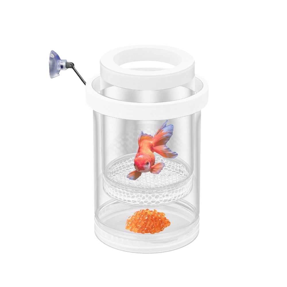 Floating Fish Breeder Box – Aquarium Isolation Hatchery for Baby Fish ...