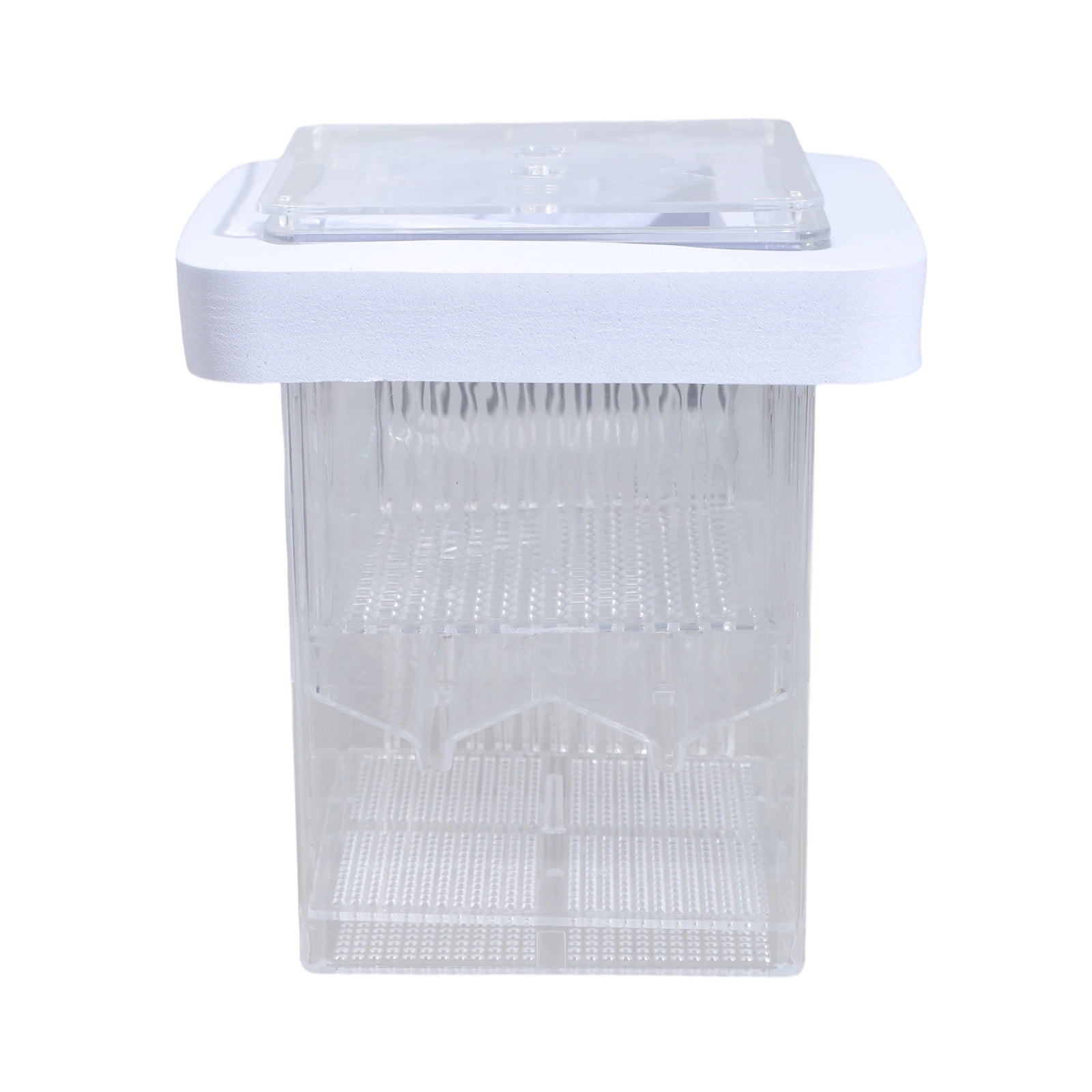 Floating Fish Breeder Box Transparent Hatchery for Fry Shrimp Spawning ...