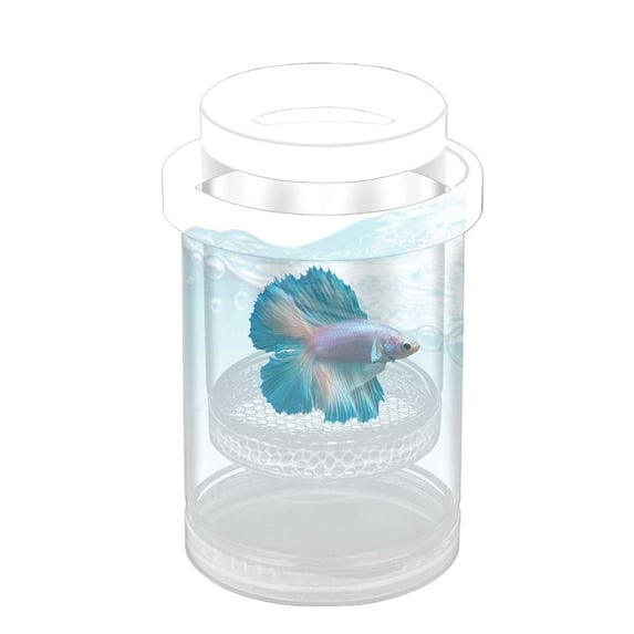Floating Fish Isolation Box for Fish Tank, Floating Aquarium Breeder ...
