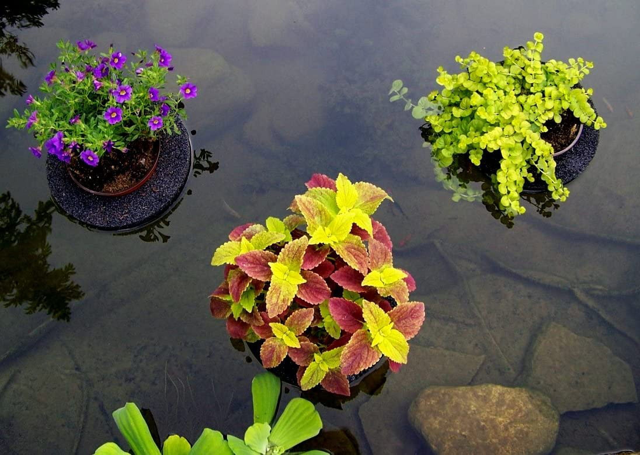 Floating Island Pond Planters - 9" Diameter Value 3 Pack | for ...