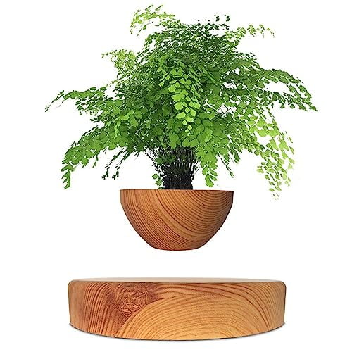 Floating Magnetic Levitating Flower Pot Bonsai Air Plant Pot Planter ...