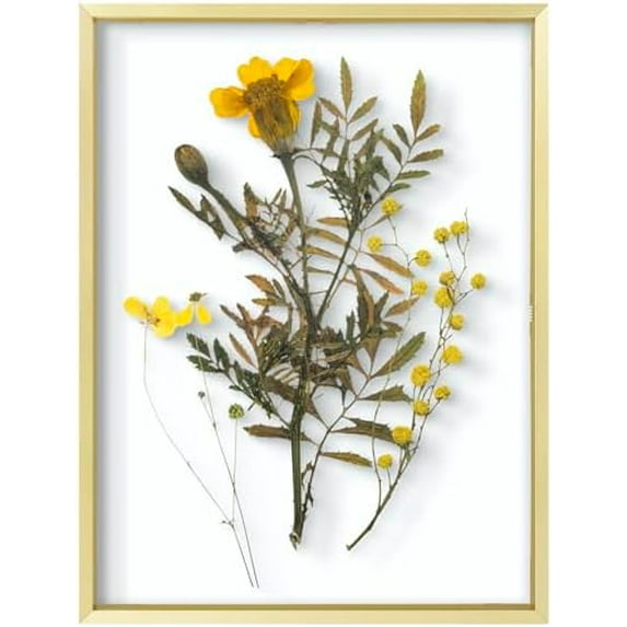 , Floating Picture Frame 12x16 - Gold Aluminum Metal Photo Frame - Real ...