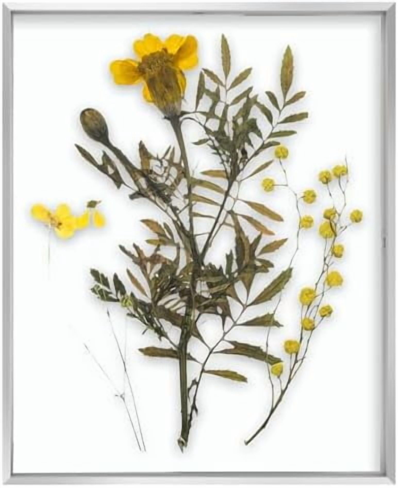 , Floating Picture Frame 16x20 - Silver Aluminum Metal Photo Frame ...