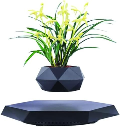 Floating Plant Pot,Planting Flower pots,Levitating Plant Pot,Magnetic ...