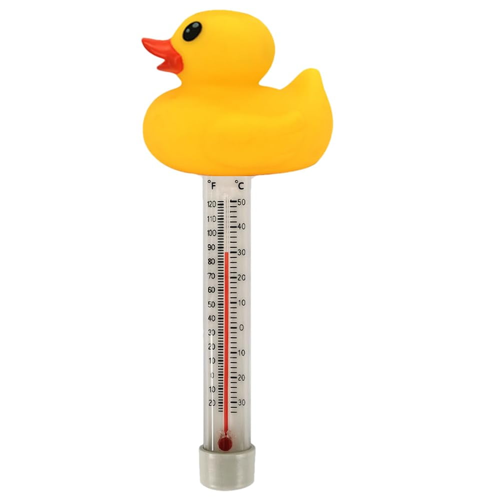 Floating Pool Thermometer Large Size Easy Read Cartoon Animal Fruit ...