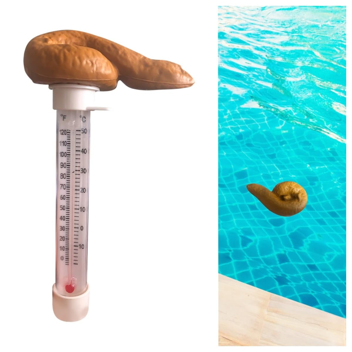Floating Poop Prank Pool Thermometer, Floating Poop Prank Funny Water ...