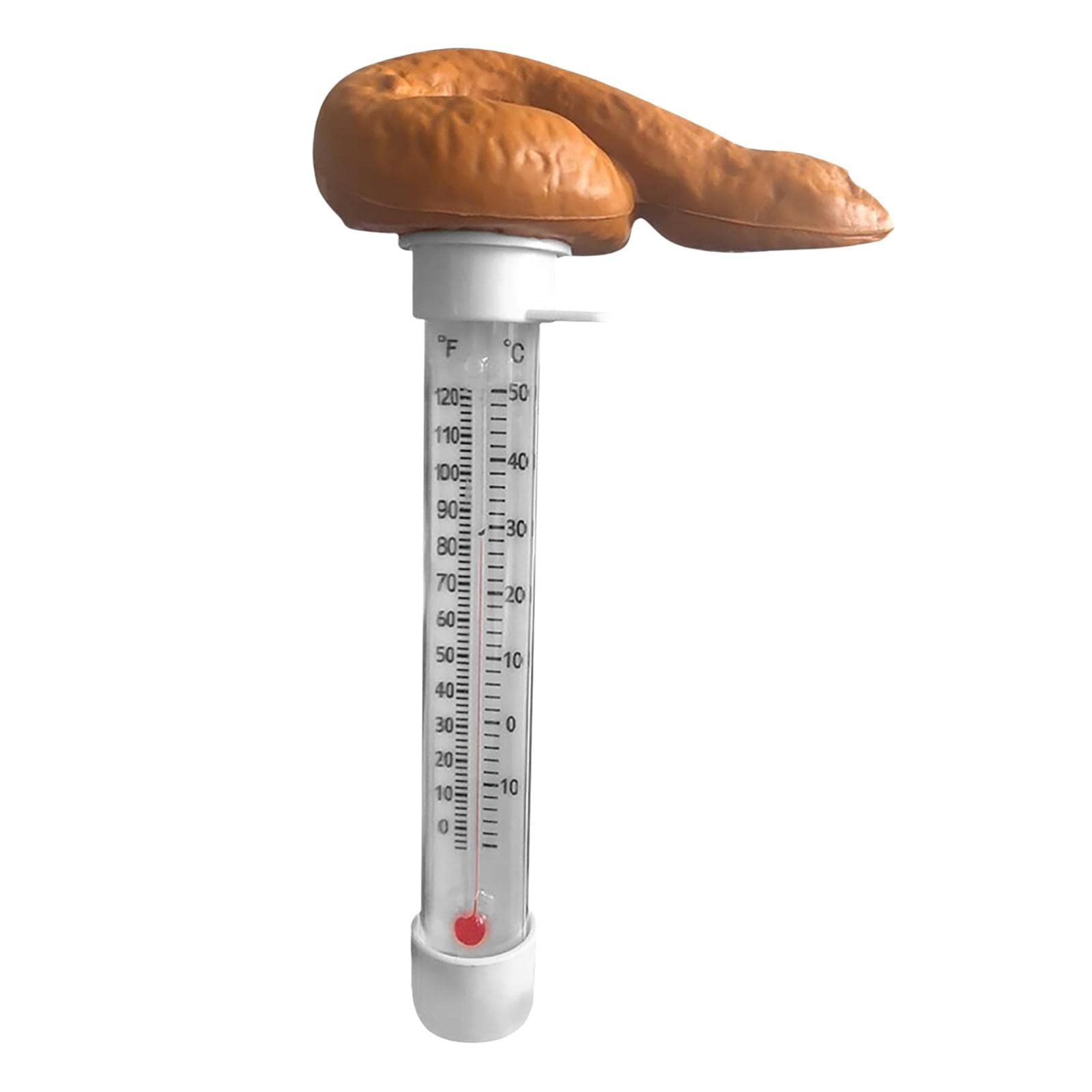 Cauoiy Floating Poop Shape Pool Thermometer, Measures 120Â°F/50Â°C ...