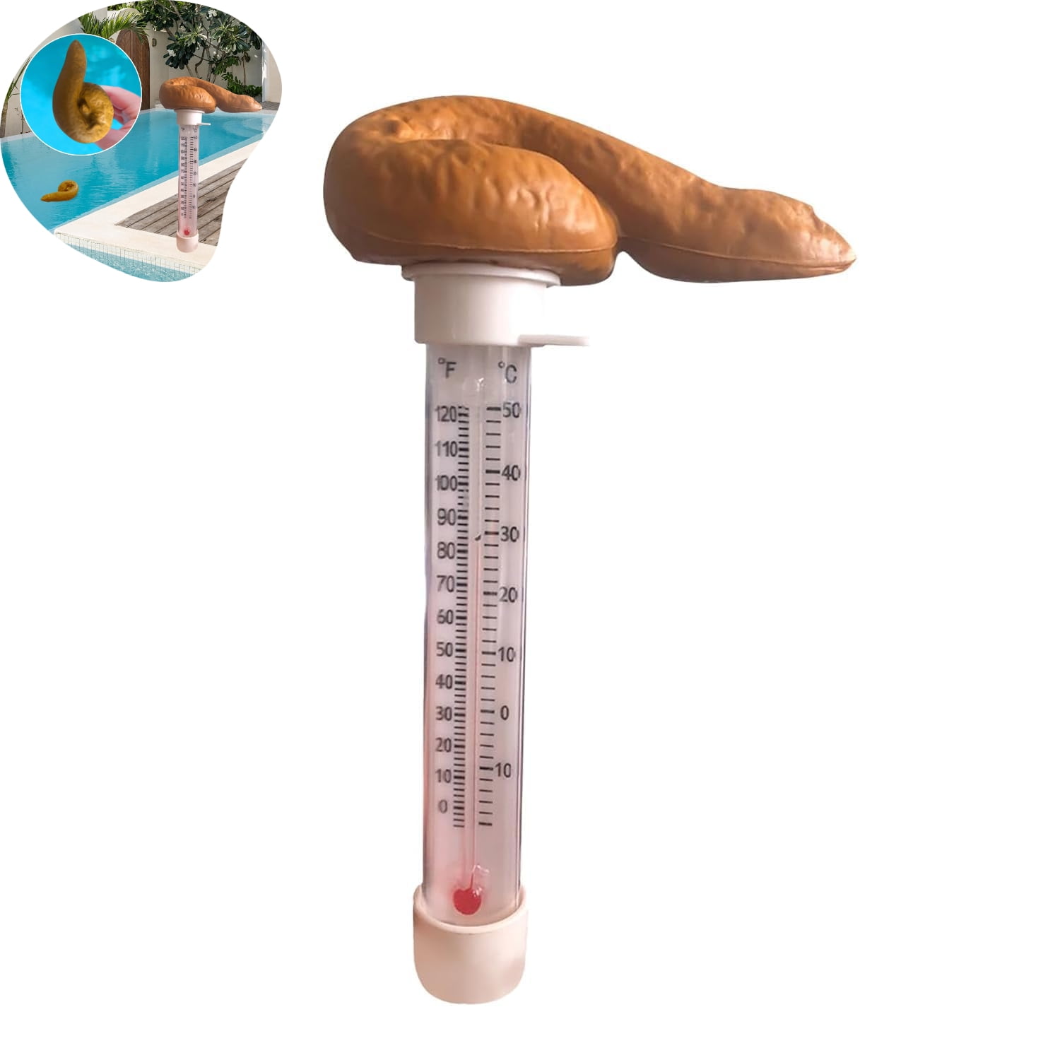 Floating Swimming Pool Thermometer, Funny Floating Poop Pools ...