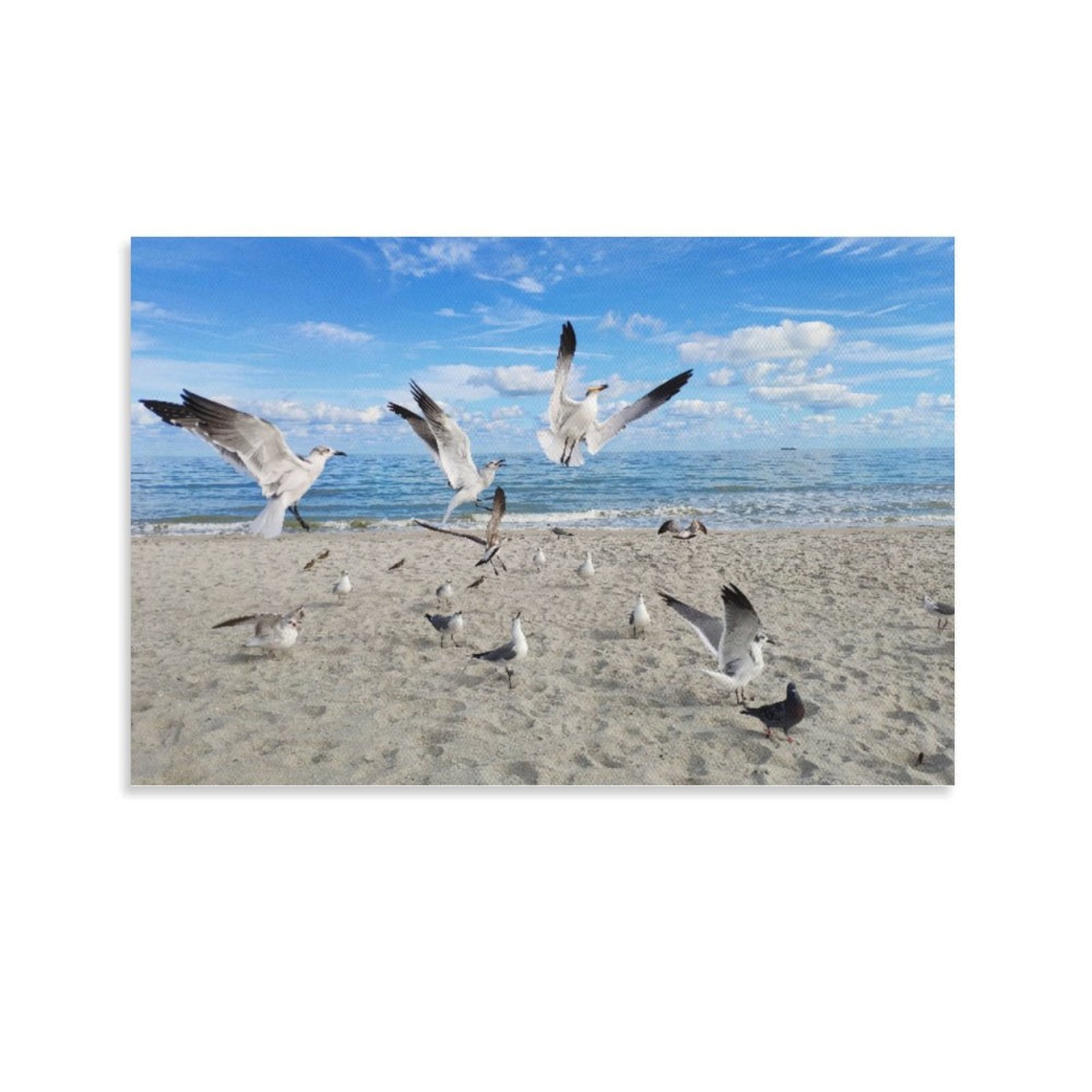 A Flock Of Seagulls Flying And Standing On The Beach Canvas Art Poster ...