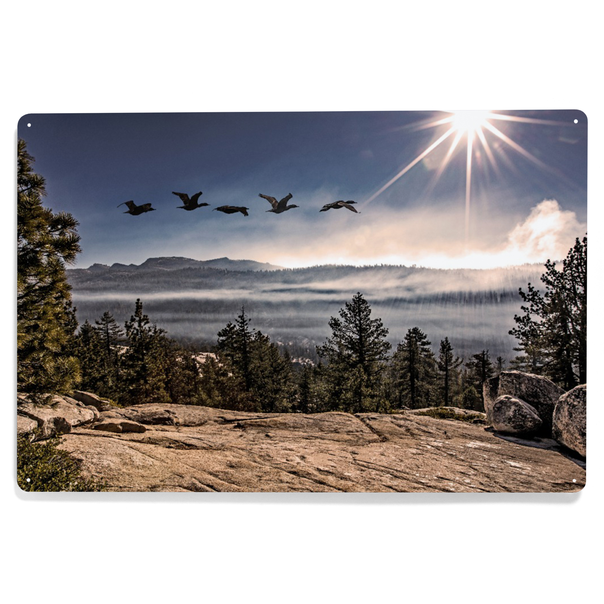 Flock of Birds Flying, Sun Glare, Photography (12x18 Aluminum Art ...