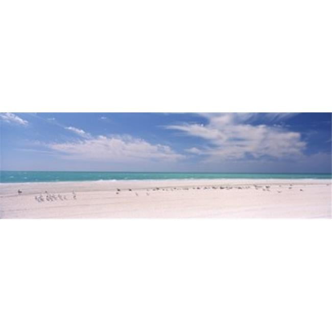 Flock of Seagulls On The Beach Lido Beach St. Armands Key Sarasota Bay ...
