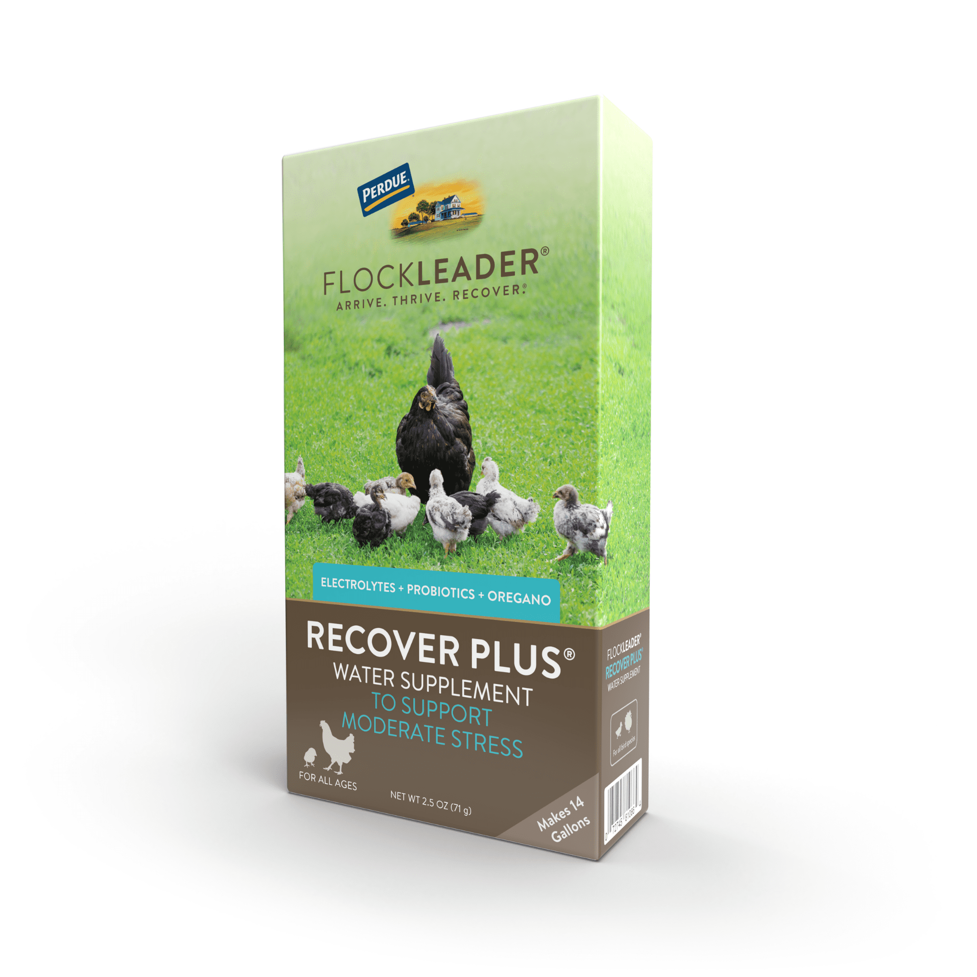 FlockLeader Recover Plus Poultry Supplement for Chickens, 2.5 Ounce ...