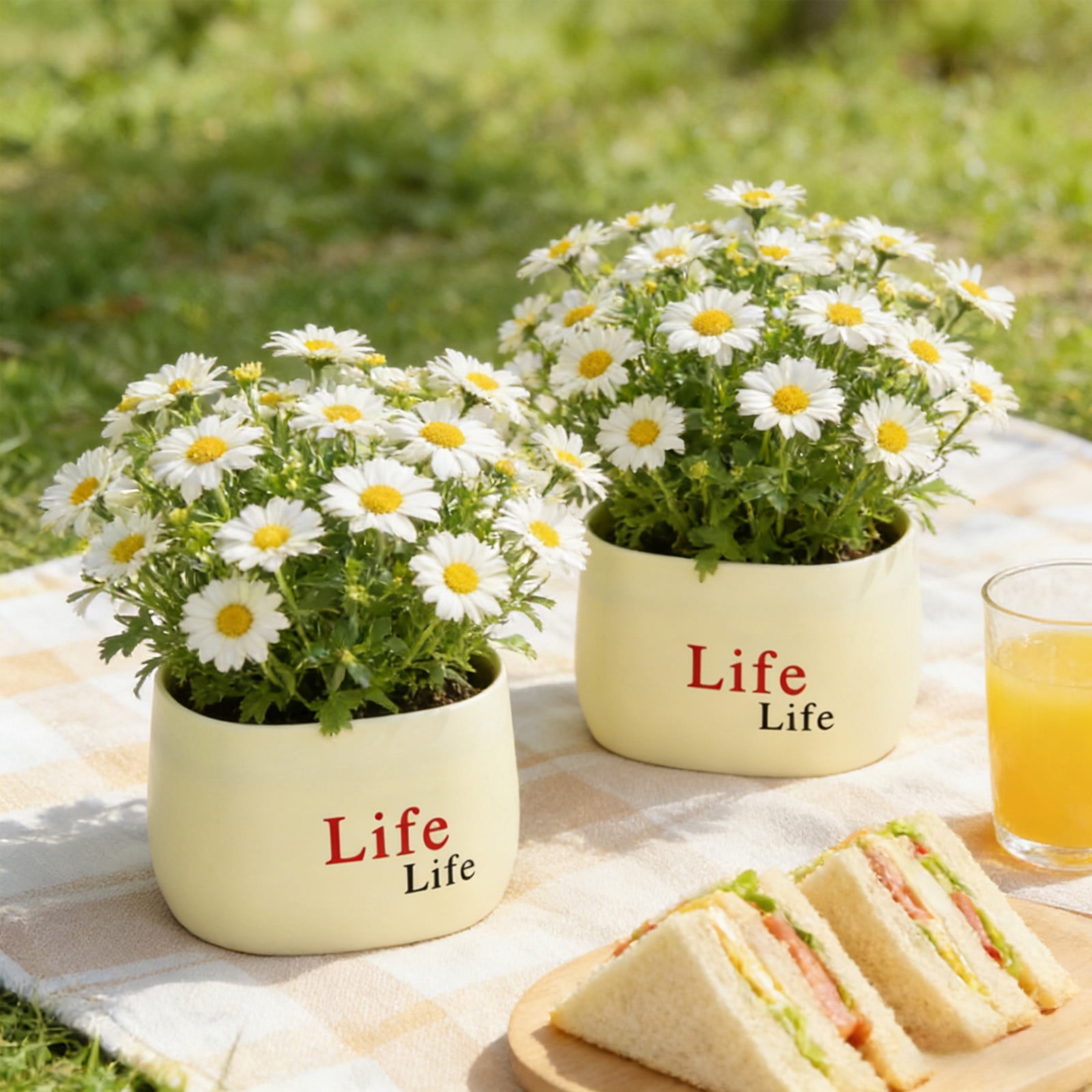 Flocking Flowers Pot Set - Thickened Round Planter, Pots with Drainage ...