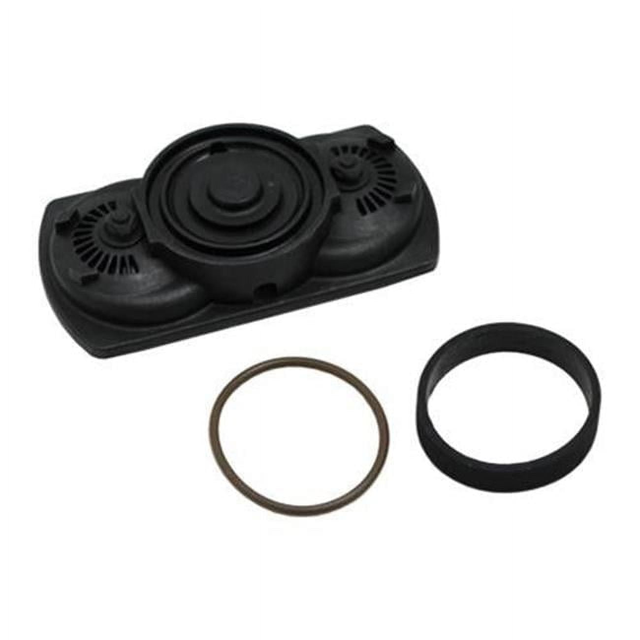 Flojet FL20407.030 Check Valve Assembly Kit - Walmart.com
