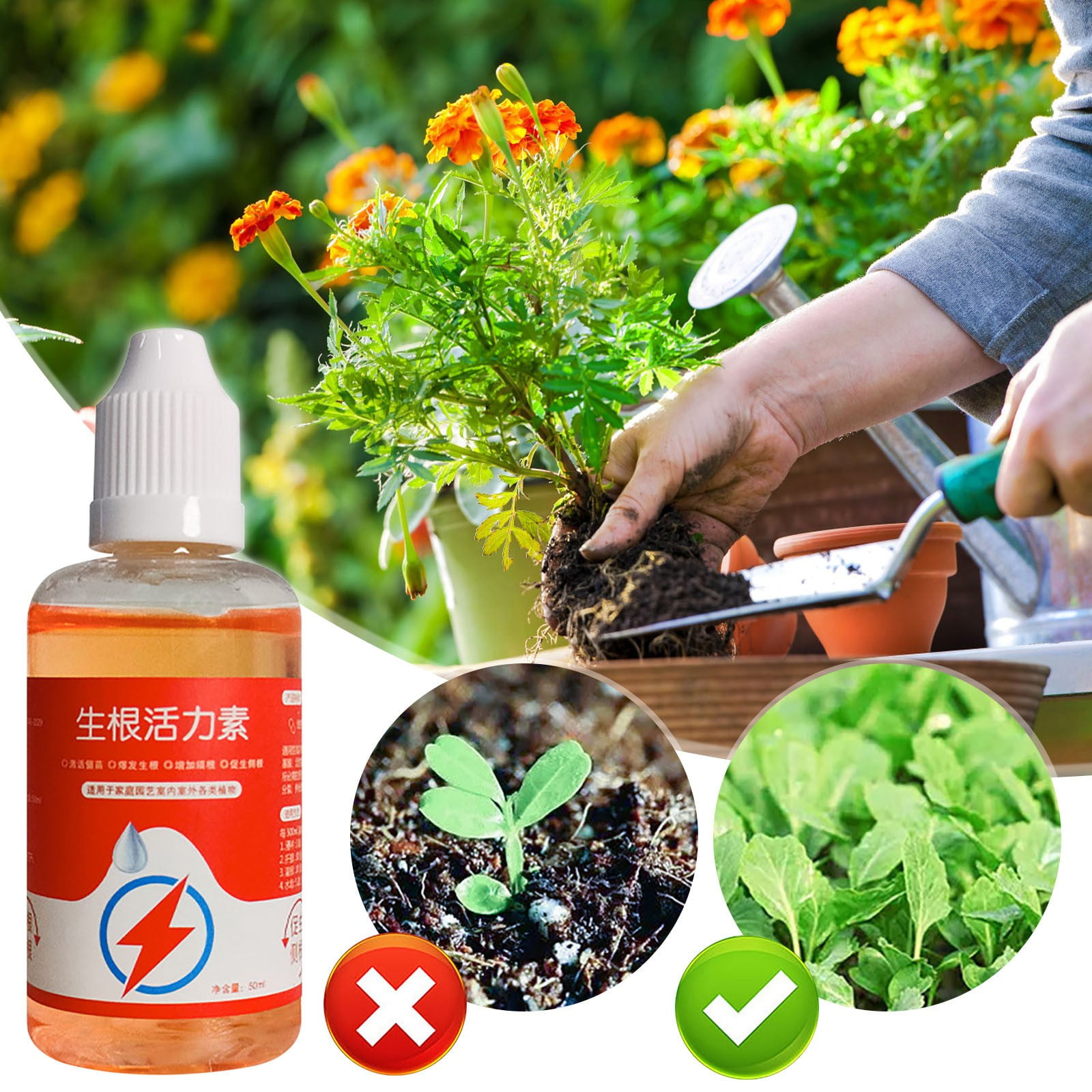 Floleo Plant Growth Enhancer, Rooting Powder, Fertilizer for Plants ...