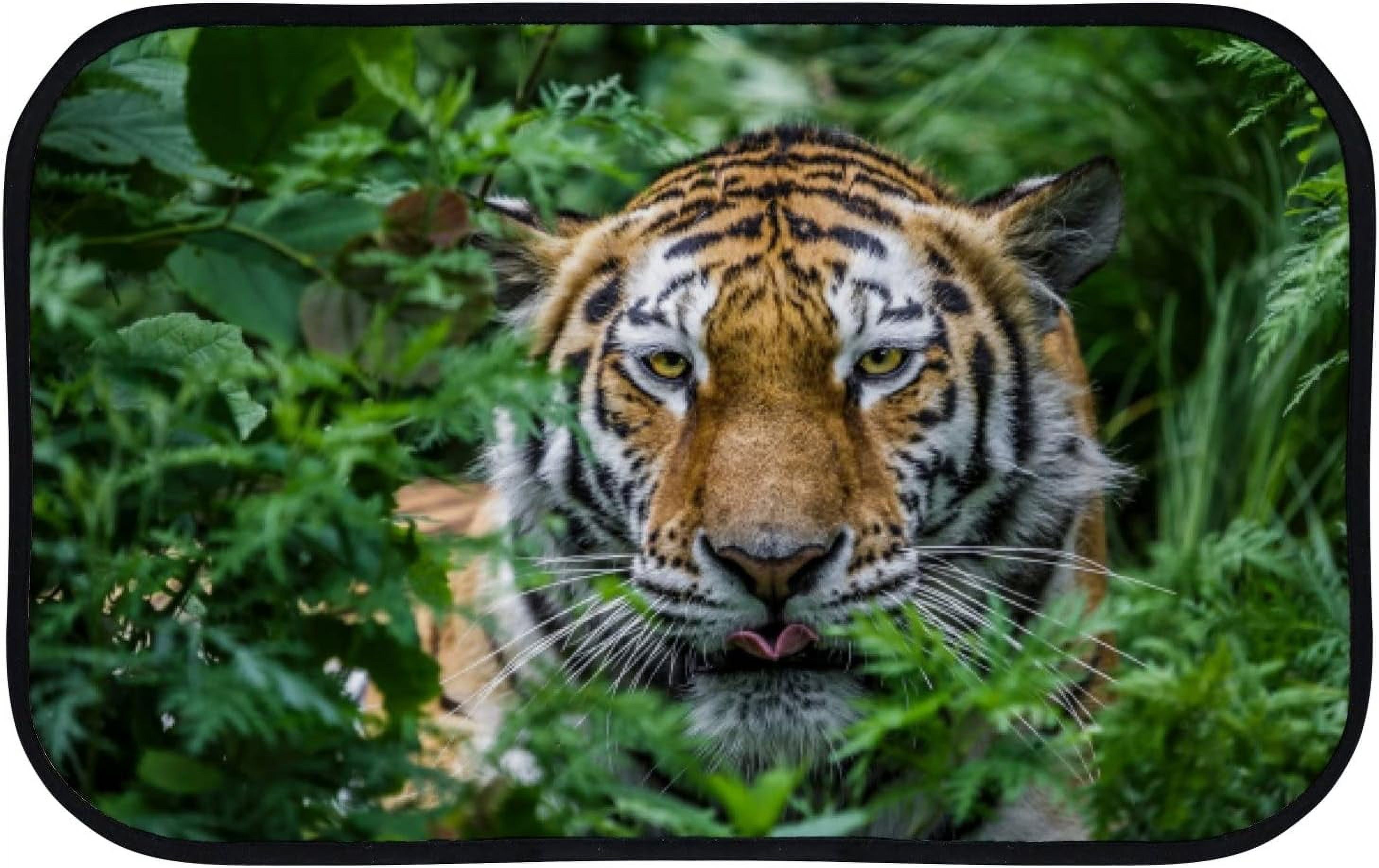 Floor Door Mats Bath Rugs Amur Tiger , Entry Rug Non-Slip Washable ...