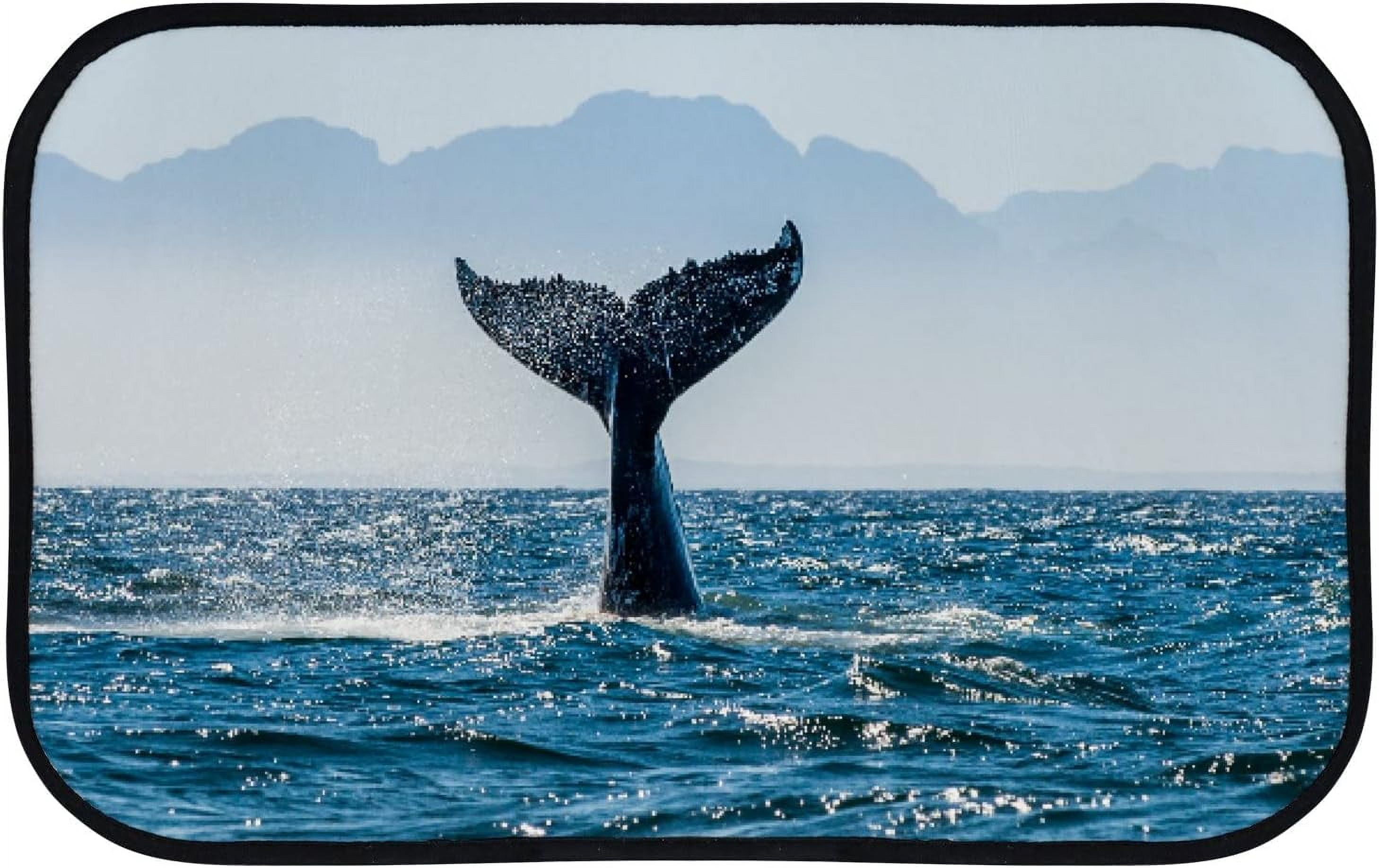 Floor Door Mats Bath Rugs Seascape with Whale Tail Bathroom Carpet Non ...
