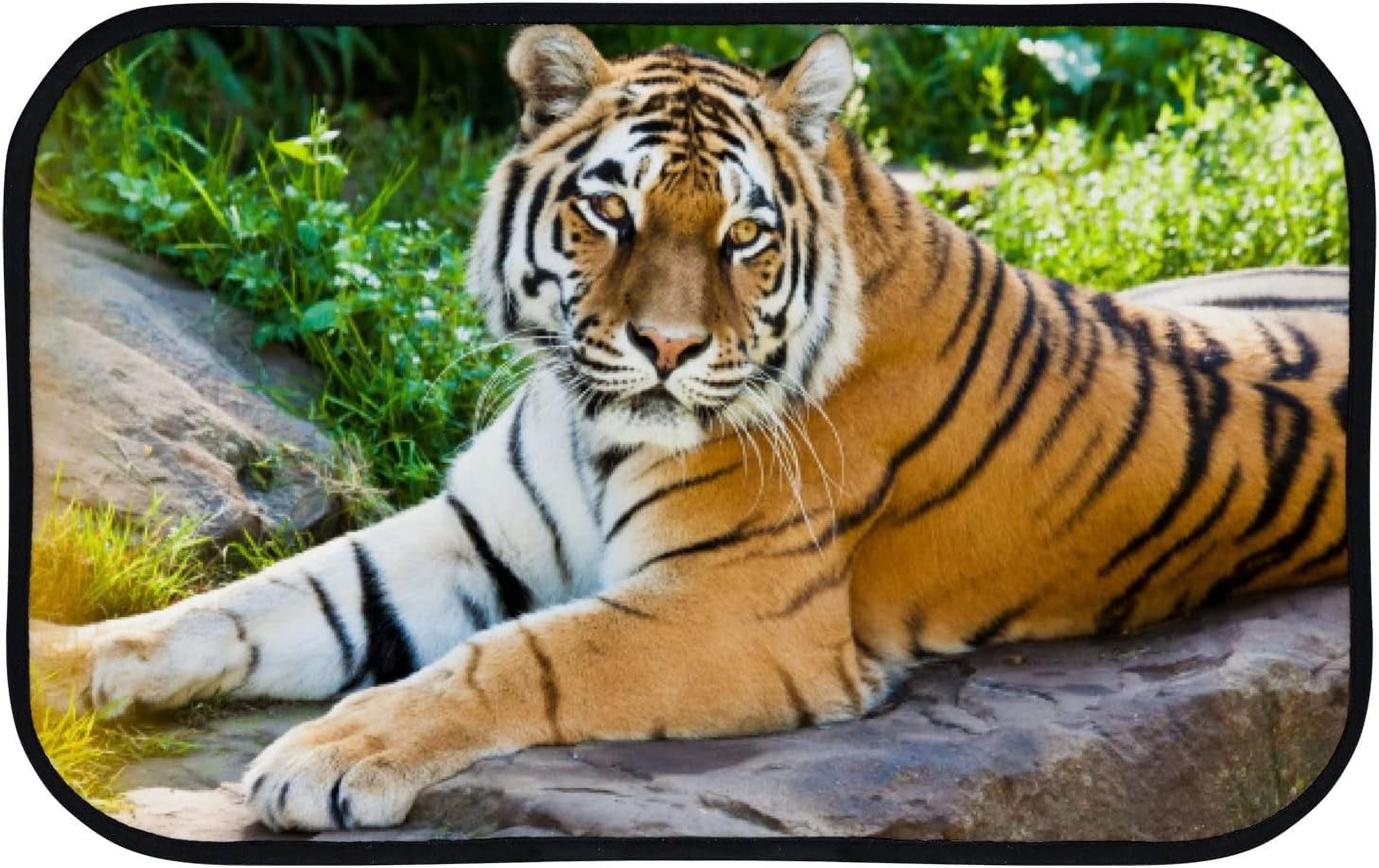 Floor Door Mats Bath Rugs Siberian Tiger , Entry Rug Non-Slip Washable ...