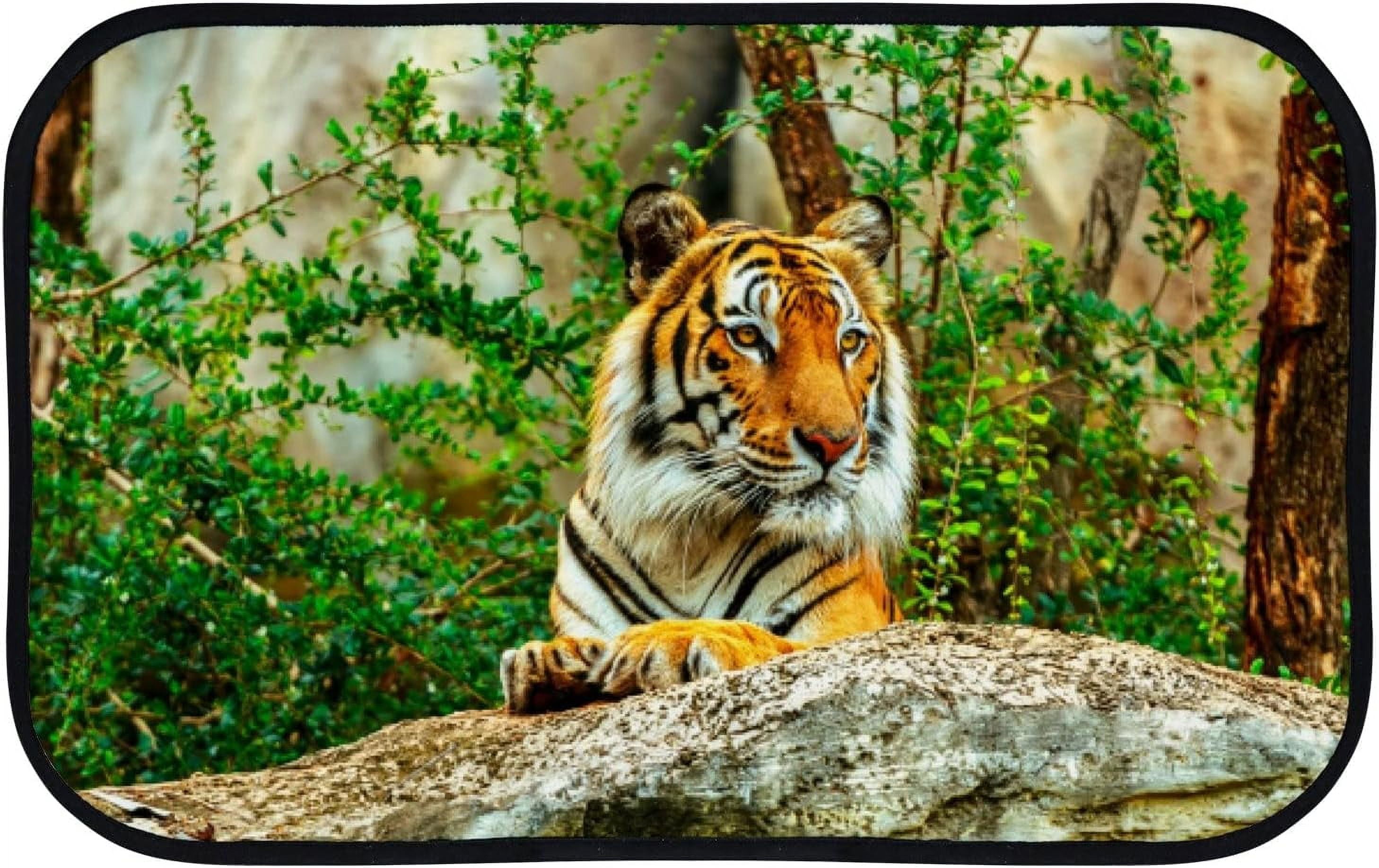 Floor Door Mats Bath Rugs Tiger in Zoo , Entry Rug Non-Slip Washable ...