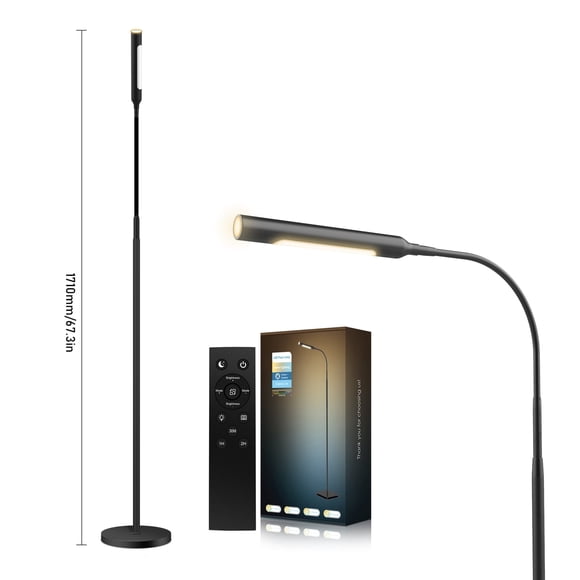 Rechargeable Cordless Floor Lamps