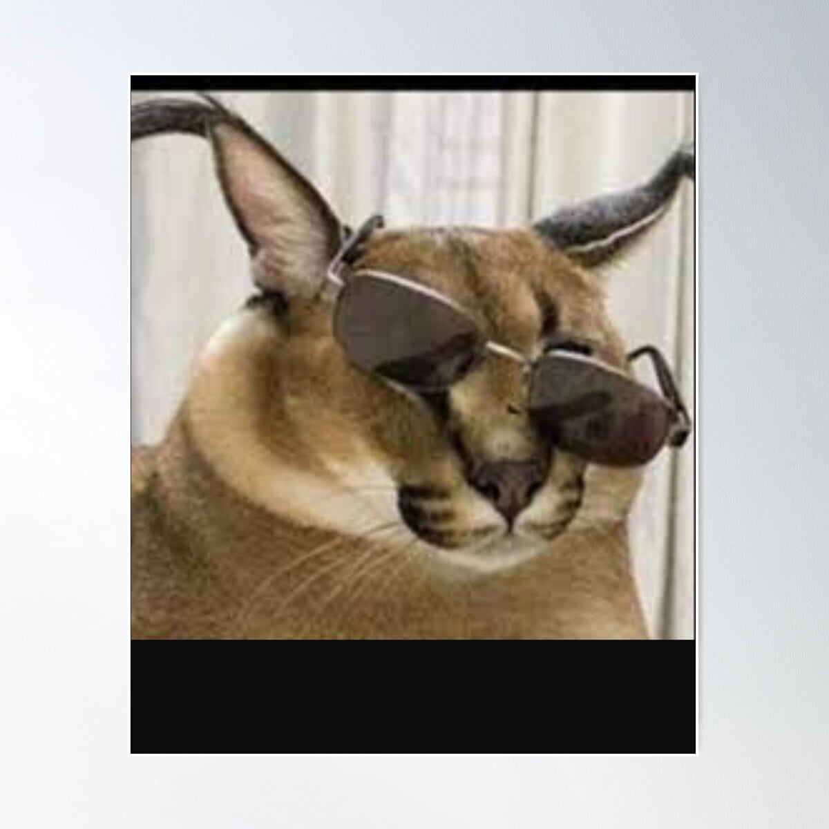 Floppa Lovers Funny Poster Wall Art, Modern Wall Decor For Living Room ...