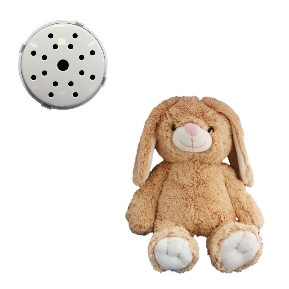 Flopsy the Bunny 16 inch Plush Toy with Removable Spooky Halloween ...