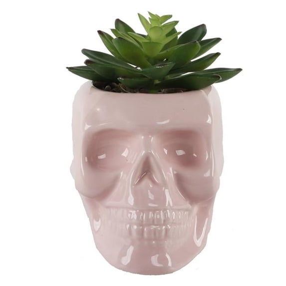 Flora Bunda 4.5X3.5 Ceramic Sugar Skull Succulent, PK - Walmart.com