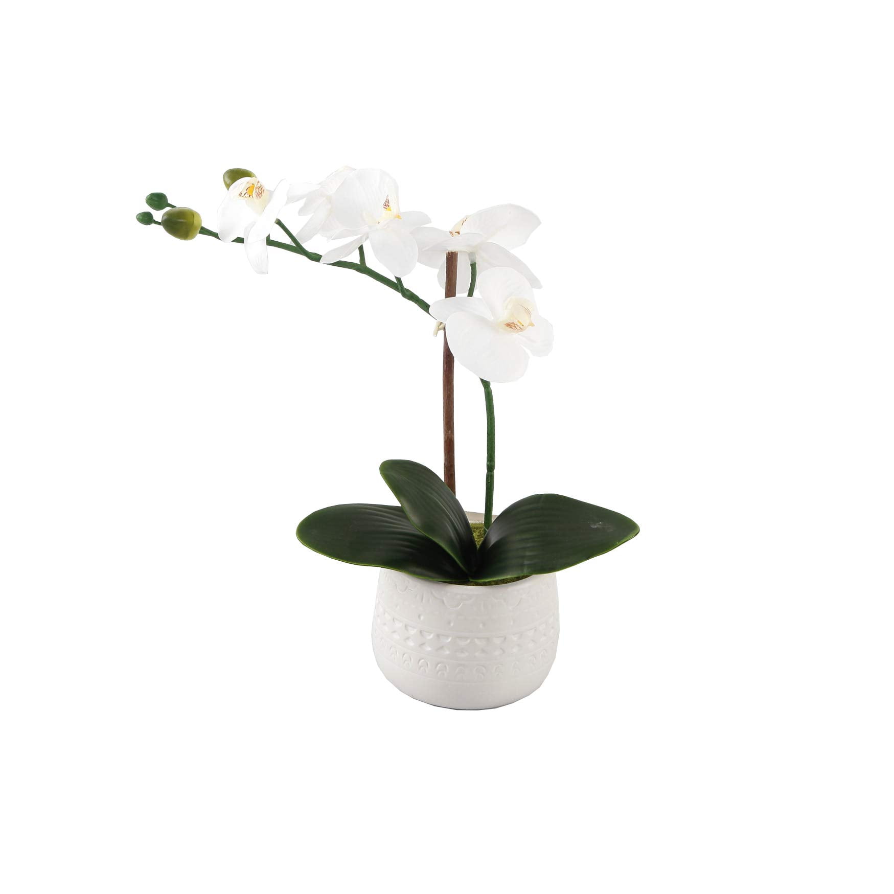 Flora Bunda Artificial Flower 12 in H Real-Touch Orchids in 3.5" Mayan ...