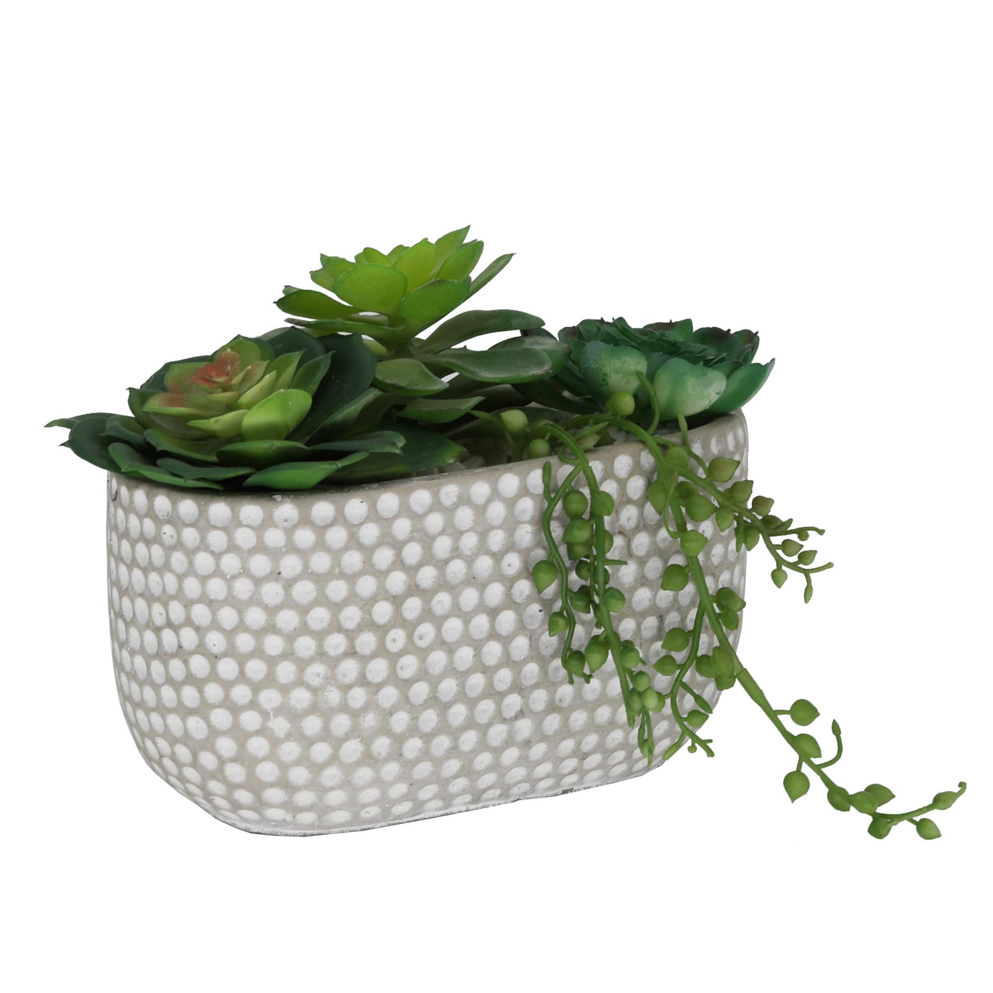 Flora Bunda Artificial Succulent Faux Plant Succulent Garden in Cement ...