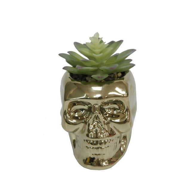 Flora Bunda CS2359E-GD MET Skull Succ - Walmart.com
