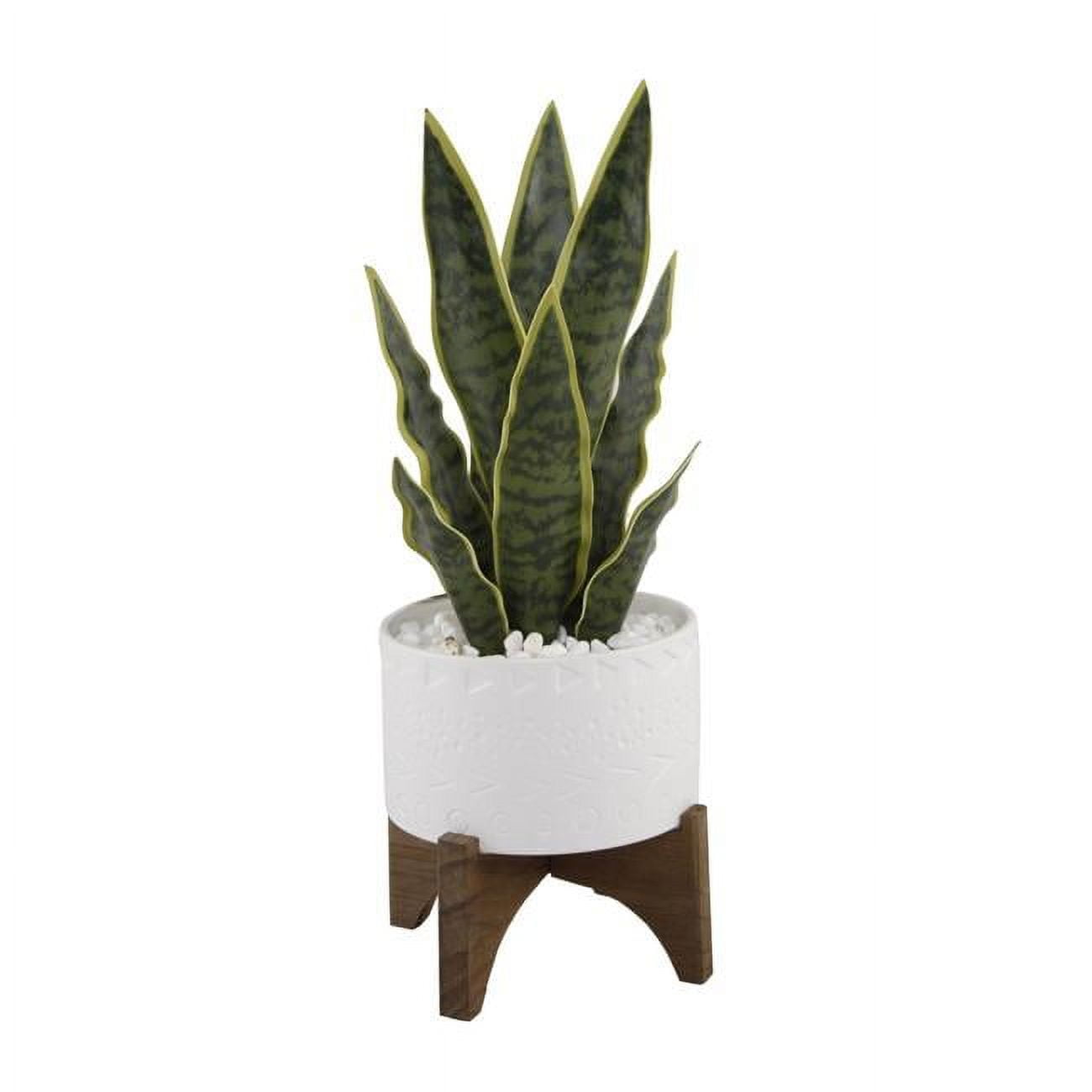 Flora Bunda CS3026E-MTWH 15.5'H Snake plant in 5' Caveman Ceramic ...