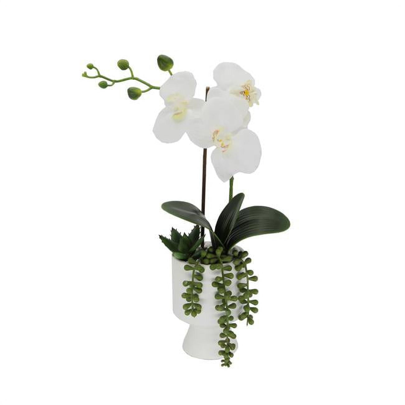 Flora Bunda CS3763E-WH 16' Real- touch Orchid in Ceramic Pot - Walmart.com