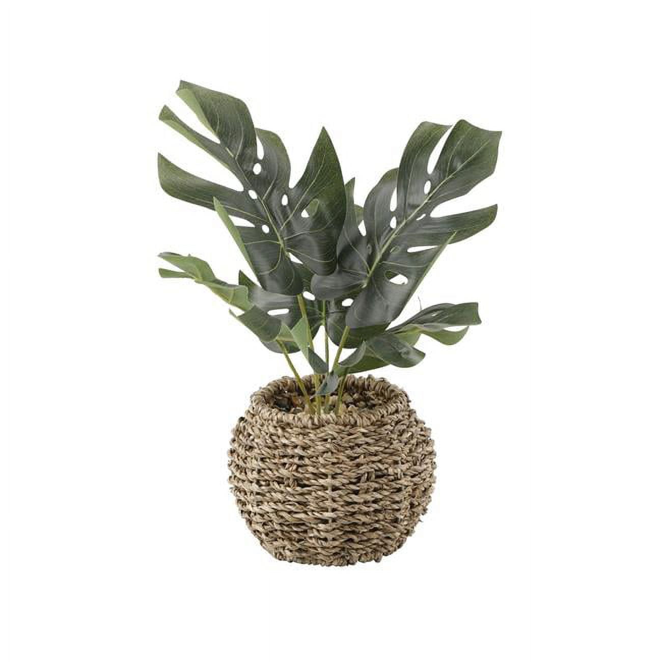 Flora Bunda CS5323E-BRN Split leaf in 6' Basket - Walmart.com