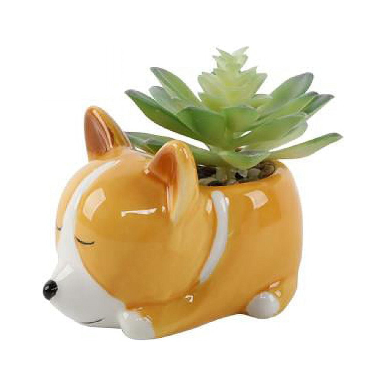 Flora Bunda CS6235E-OR Succ in Orange Puppy Ceramic 4.75X3X3.5 - Walmart.com
