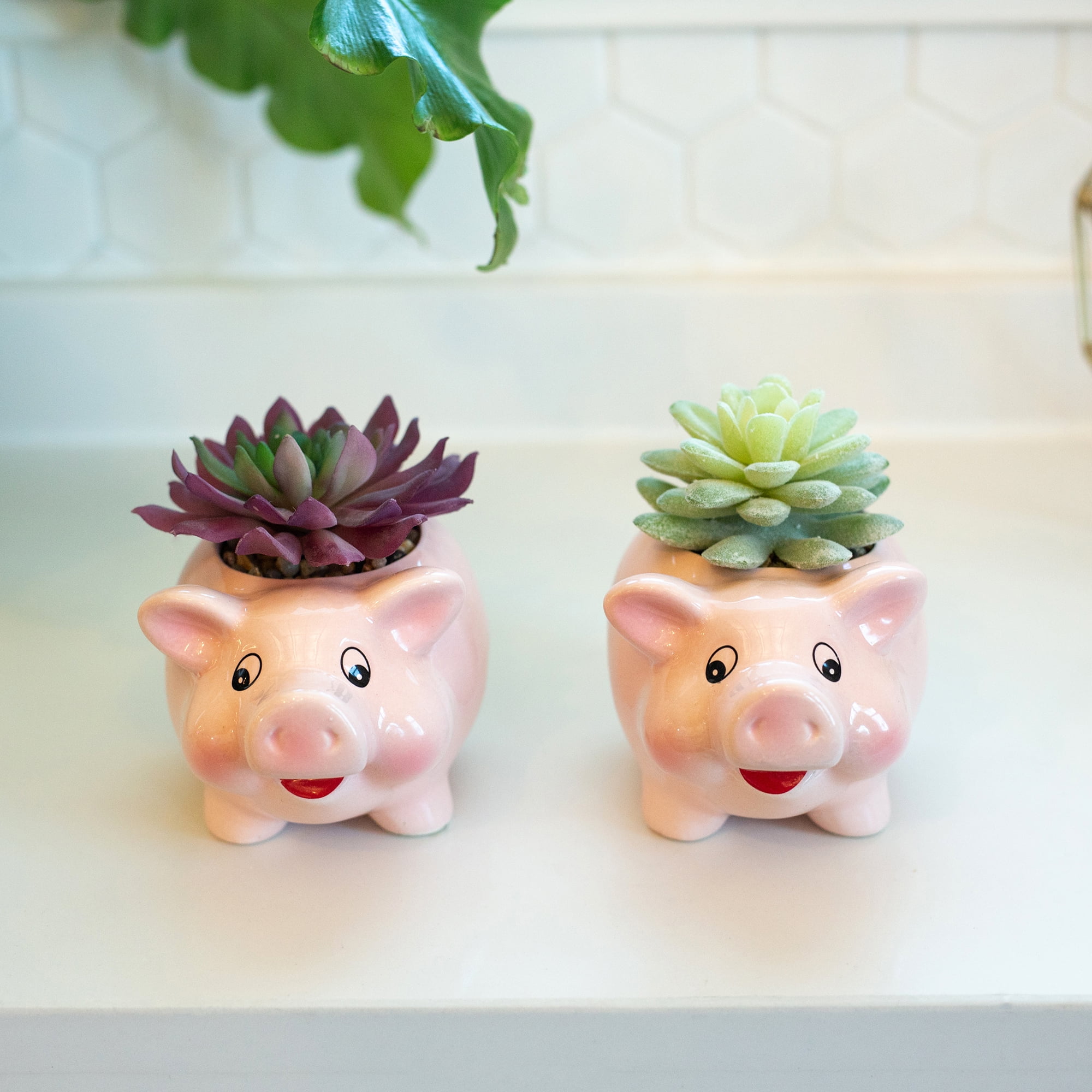 Flora Bunda Set of 2 Artificial Succulents in Pink Ceramic Pig Planters ...