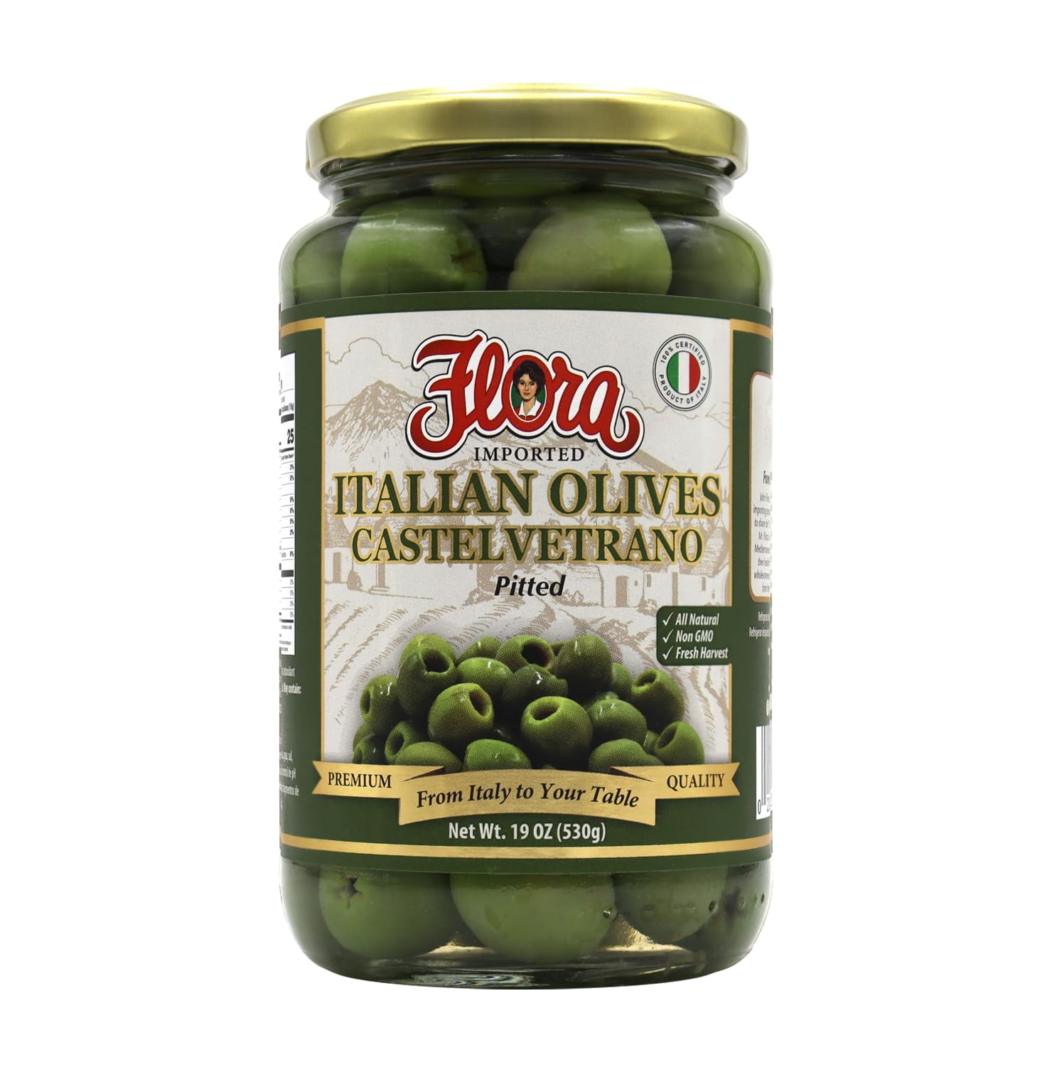 Flora Foods Italian Olives Castelvetrano Pitted BSL1 | Sicilian Olives ...
