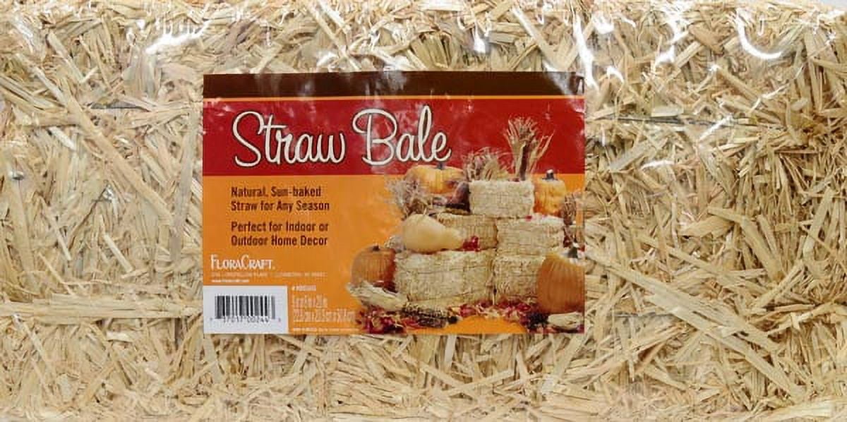 FloraCraft Decorative Fall Crafts: 20x9 inches Harvest Straw Bale for ...