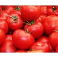 Floradade Tomato/ Annual/ Full Sun/ 2500 Seeds 1/4 oz/ Zellajake Farm ...