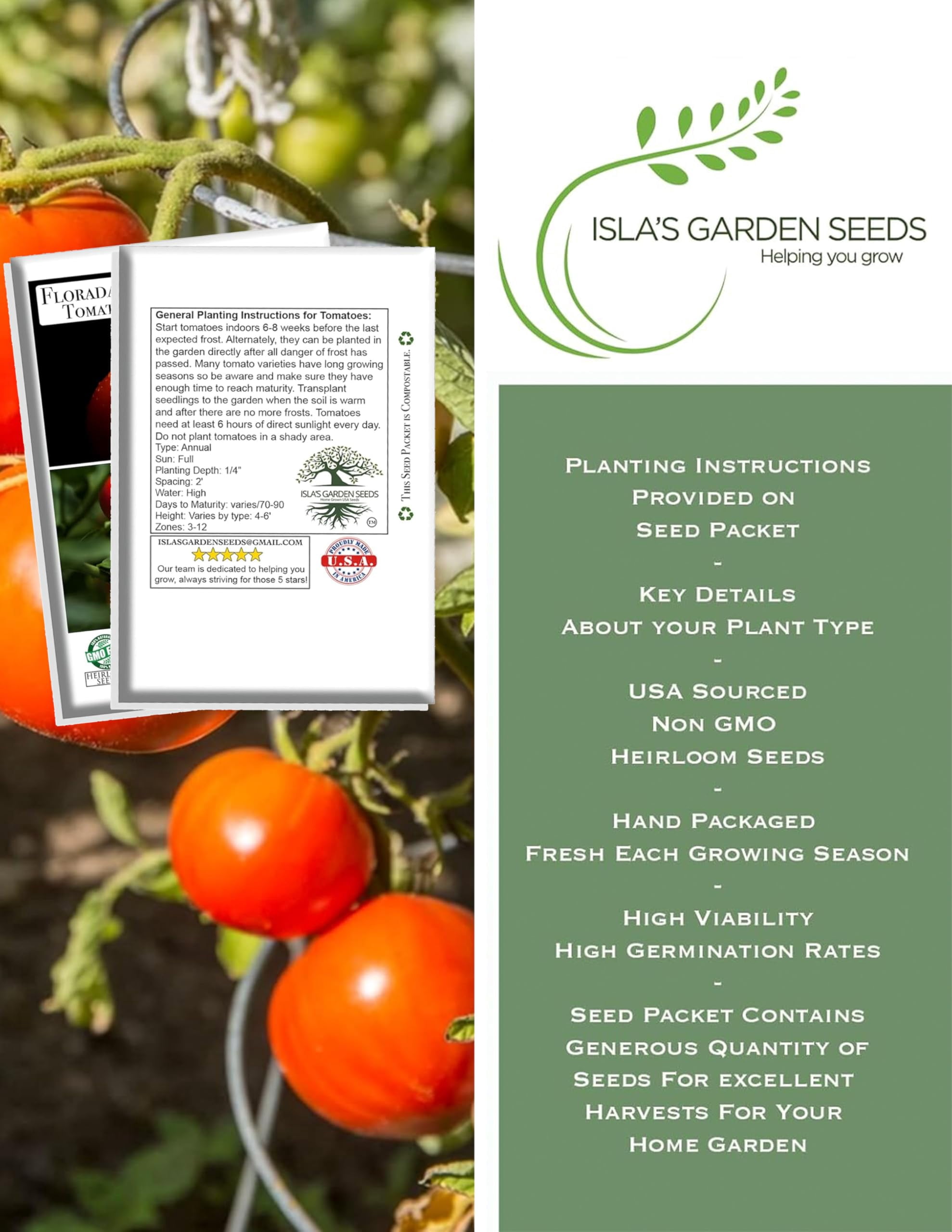 Floradade Tomato Seeds FEV6 for Planting, 300+ Heirloom Seeds Per ...