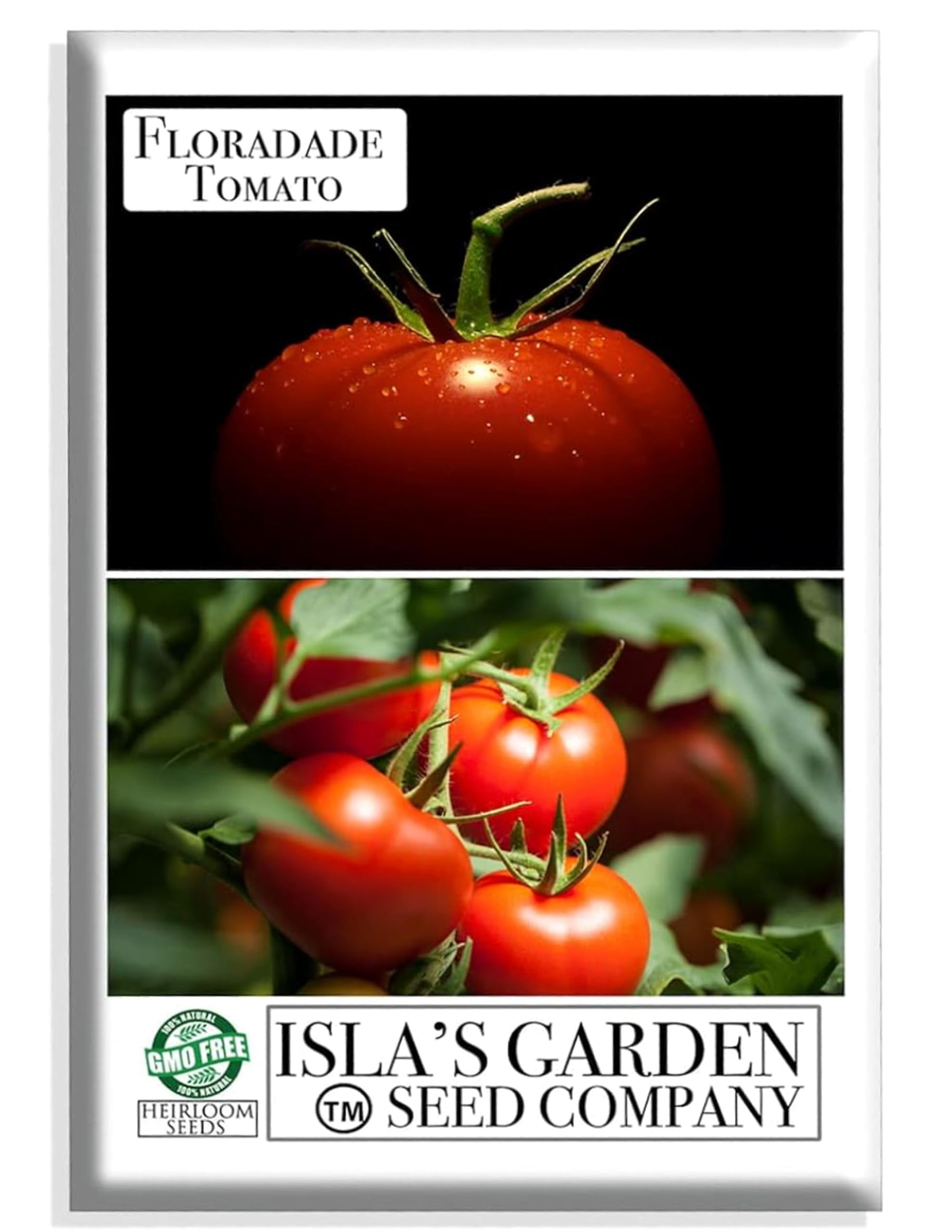 Floradade Tomato Seeds TWE5 for Planting, 300+ Heirloom Seeds Per ...