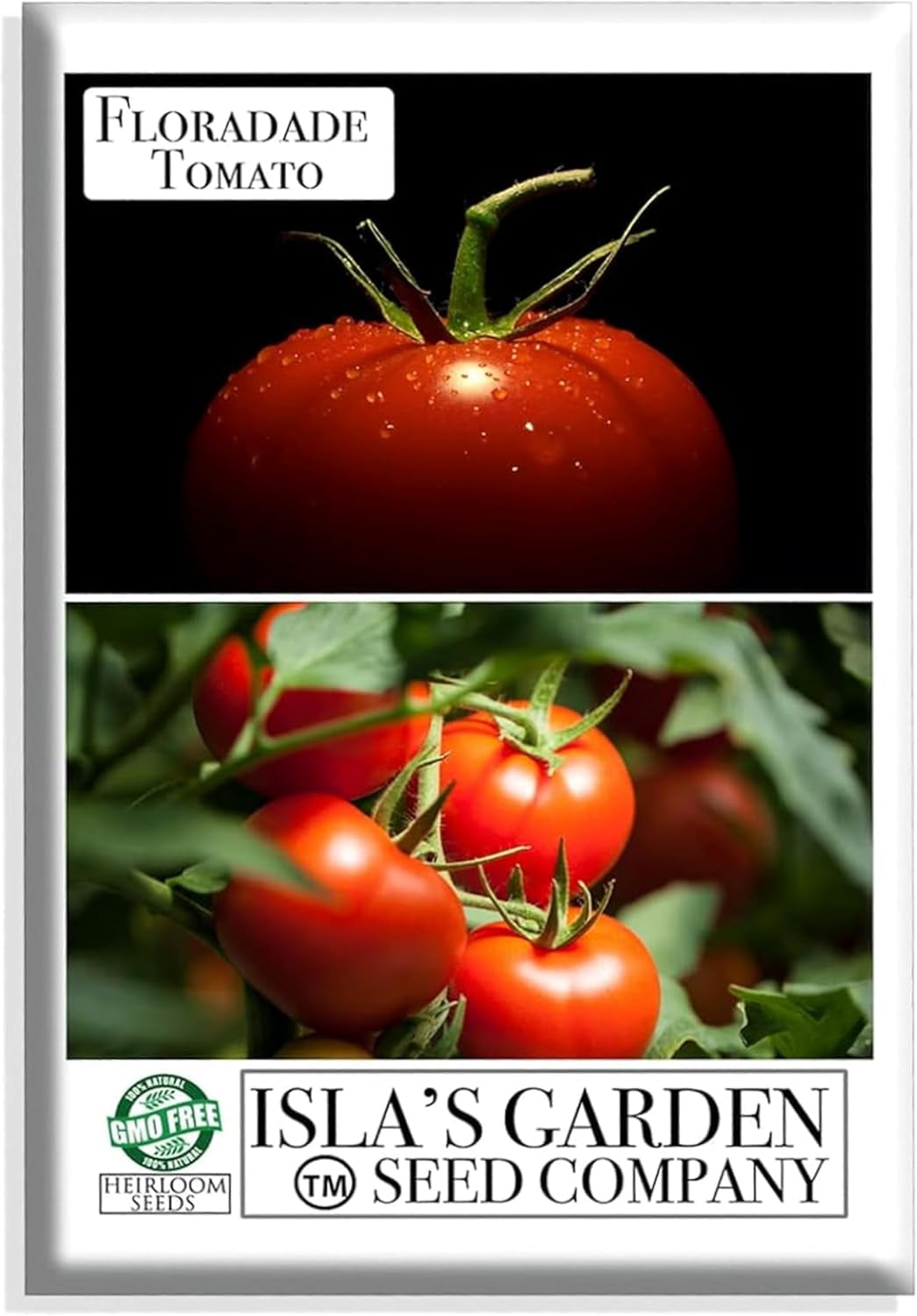 Floradade Tomato Seeds for Planting, 300+ Heirloom Seeds Per Packet Non ...