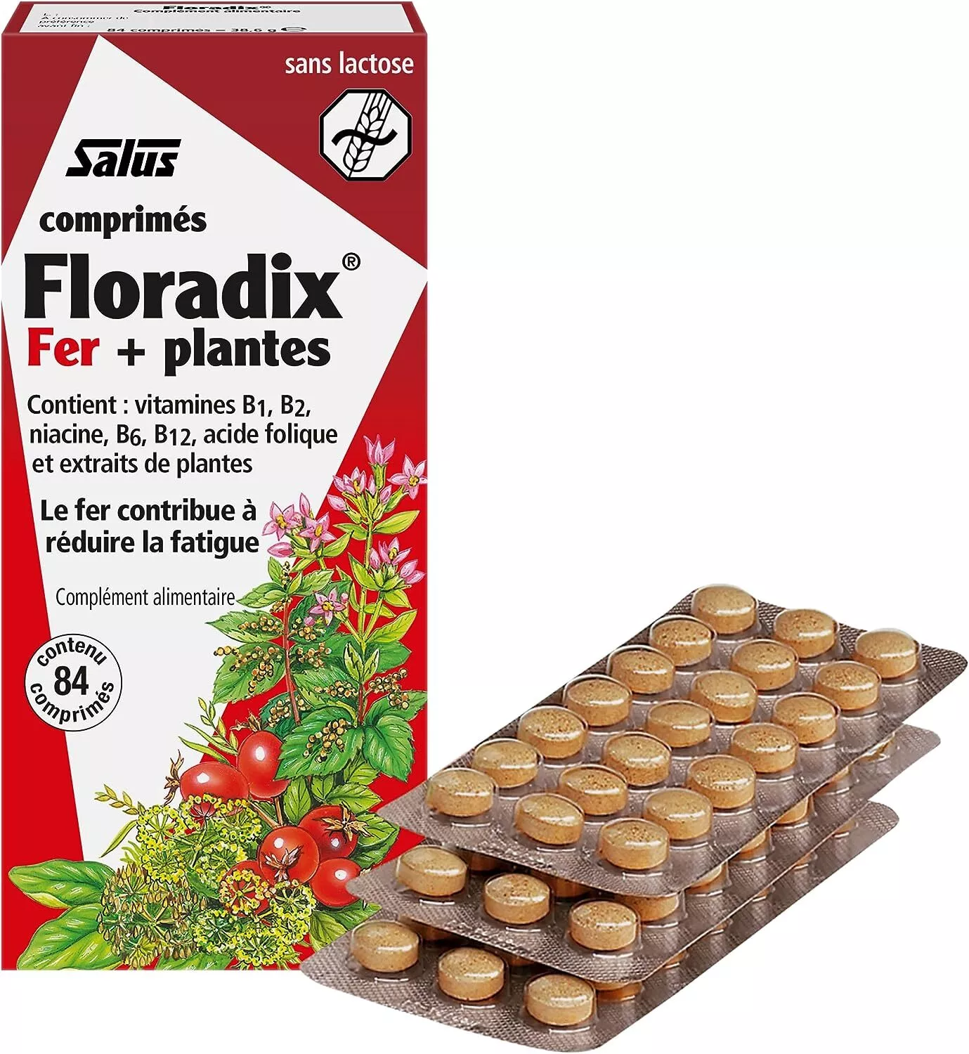 Floradix Supplement Tablets - 84pk - Walmart.com