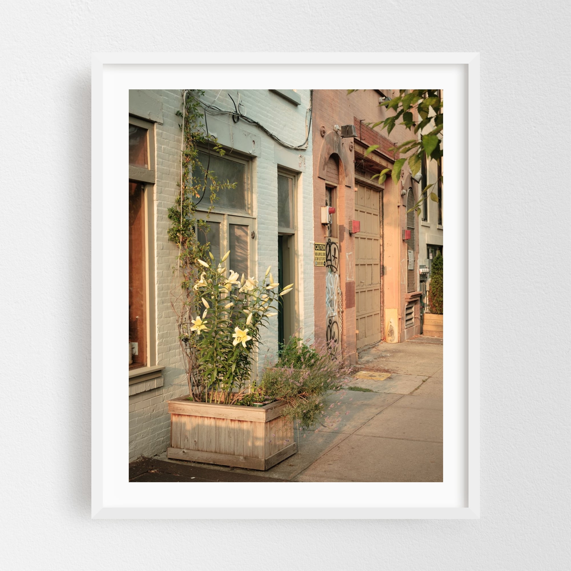 Floral Cobble Hill 01 - Brooklyn New York Photography Street ...