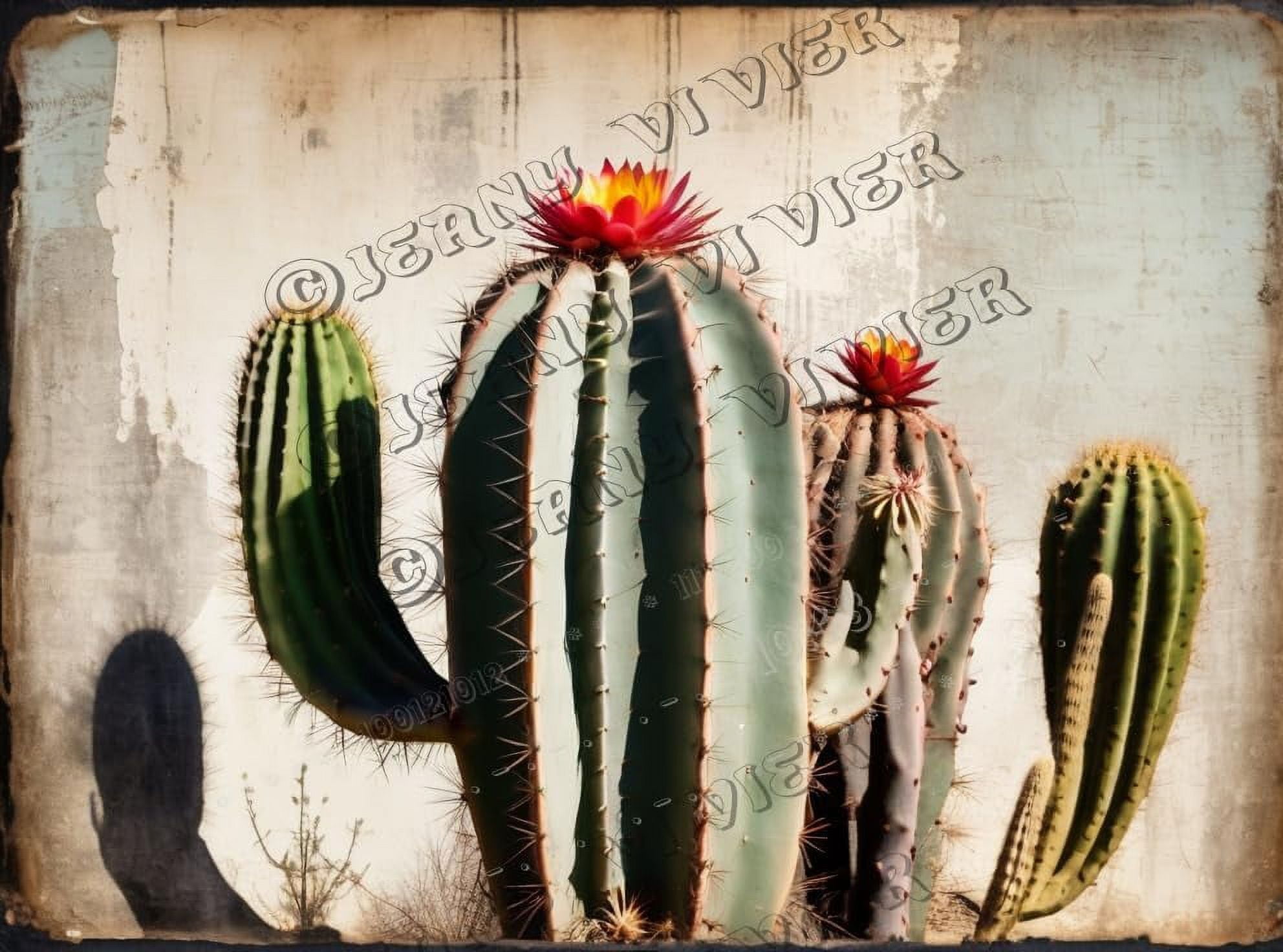 Floral Decor Cactus Retro Aluminum Sign 5.5x8 IN Metal Tin Sign Cactus ...