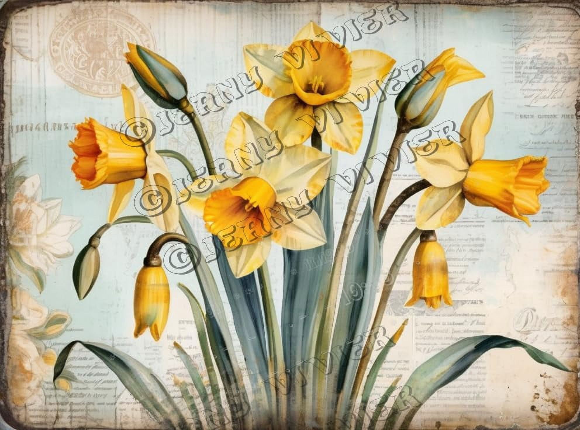 Floral Decor Daffodil Retro Aluminum Sign 5.5x8 IN Metal Tin Sign ...