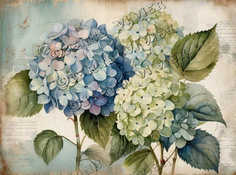 Floral Decor Hydrangea Retro Aluminum Sign 12x16 IN Metal Tin Sign ...