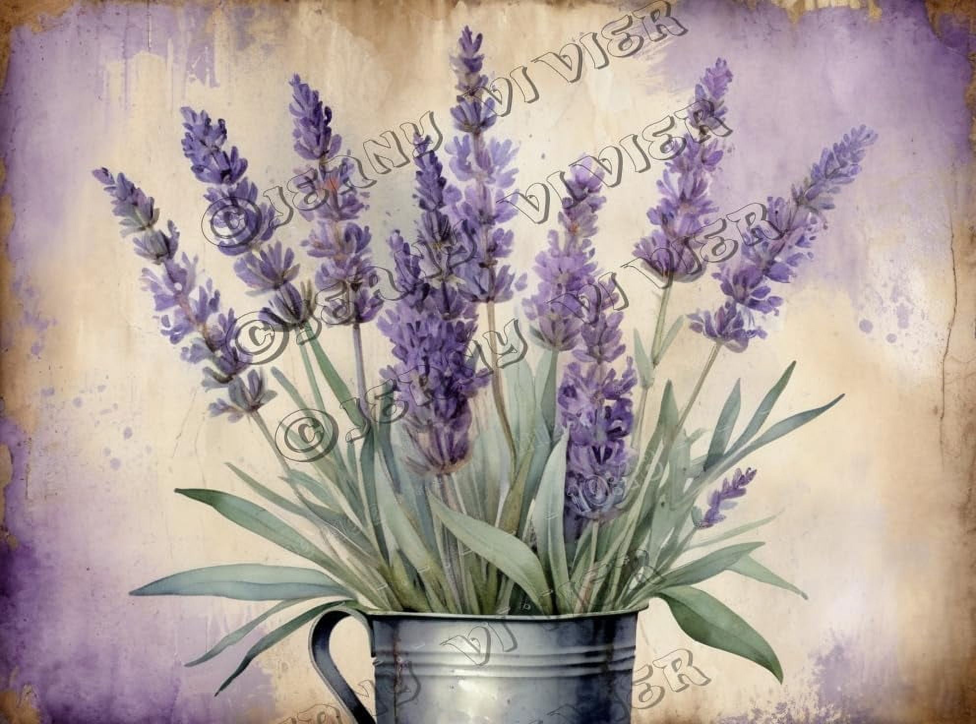 Floral Decor Purple Lavender Retro Aluminum Sign 5.5x8 IN Metal Tin ...