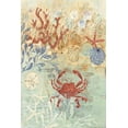 "Floral Frenzy Coastal IV" Painting Print on Wrapped Canvas - Walmart.com